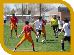 SchoolX Admin Dashboard - SchoolX Admin Dashboard